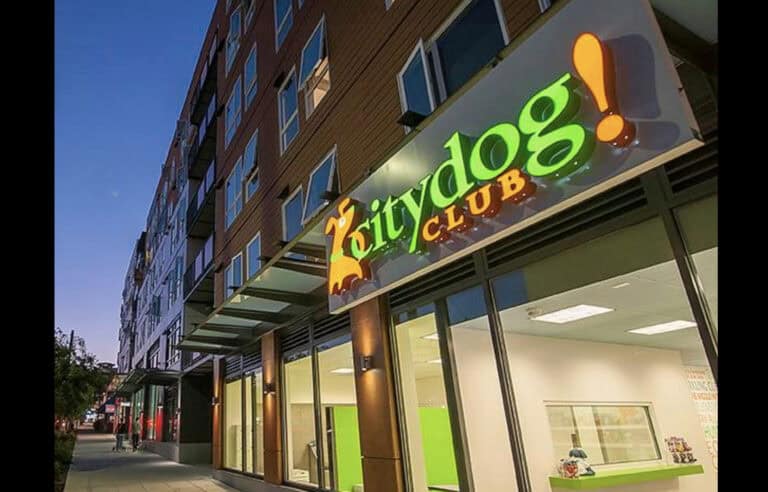 Ballard Citydog! Club closing after 11 years